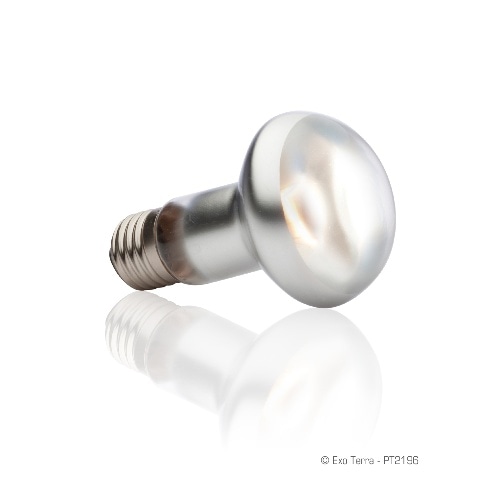 GEX(ジェックス) エキゾテラ サングロータイトビームバスキング スポットランプ25W 爬虫類 ライト PT2196 テラリウム: PCボンバー