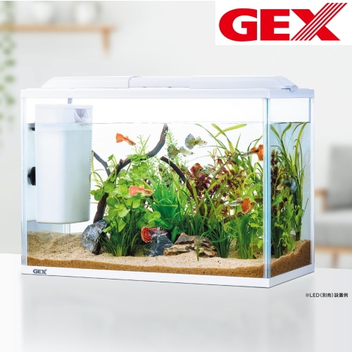 GEX(ジェックス) 水槽セット ラクフィル水換え簡単セット 400WH アクアリウム: PCボンバー